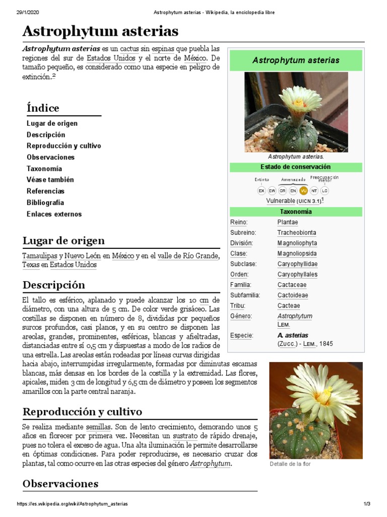 Astrophytum Asterias | PDF | Plantas | Organismos