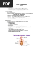 Grade 8-Digestive Lesson Plan | PDF | Human Digestive System | Digestion