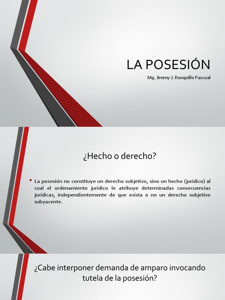 Teorías y Tutela de la Posesión Jurídica | PDF | Posesión (Ley) | Propiedad