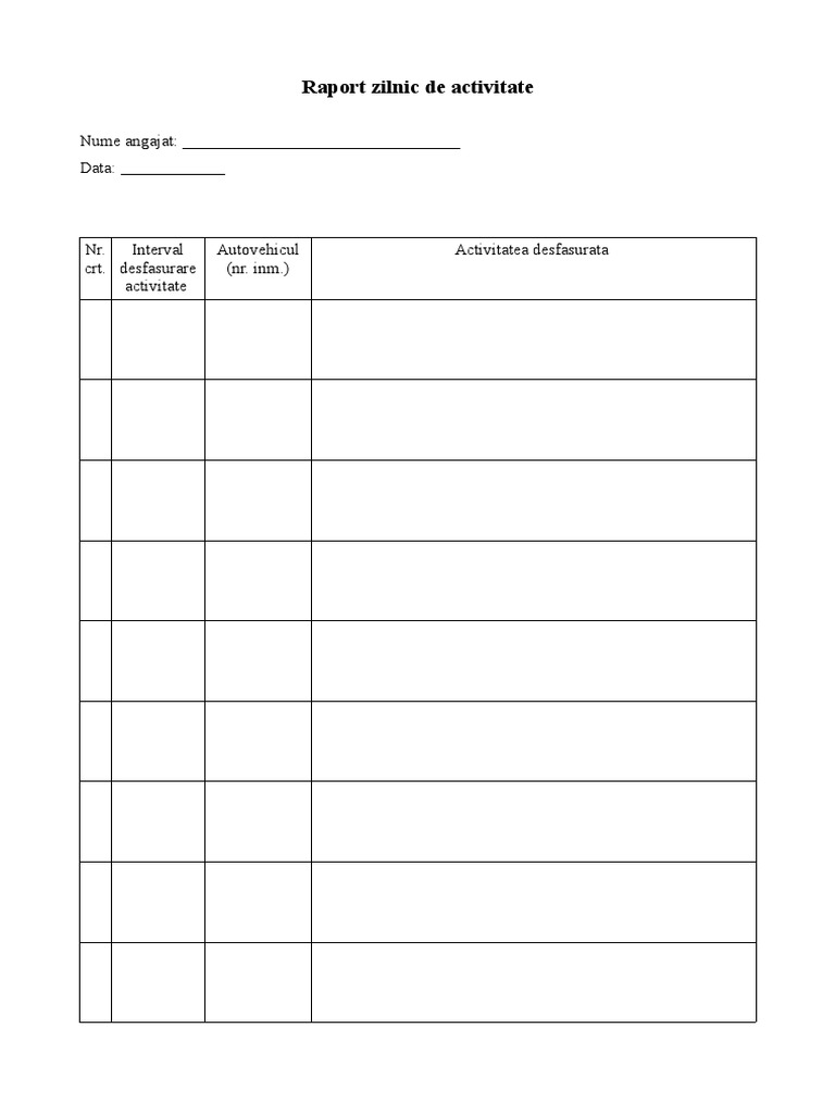 Raport Zilnic Activitate | PDF