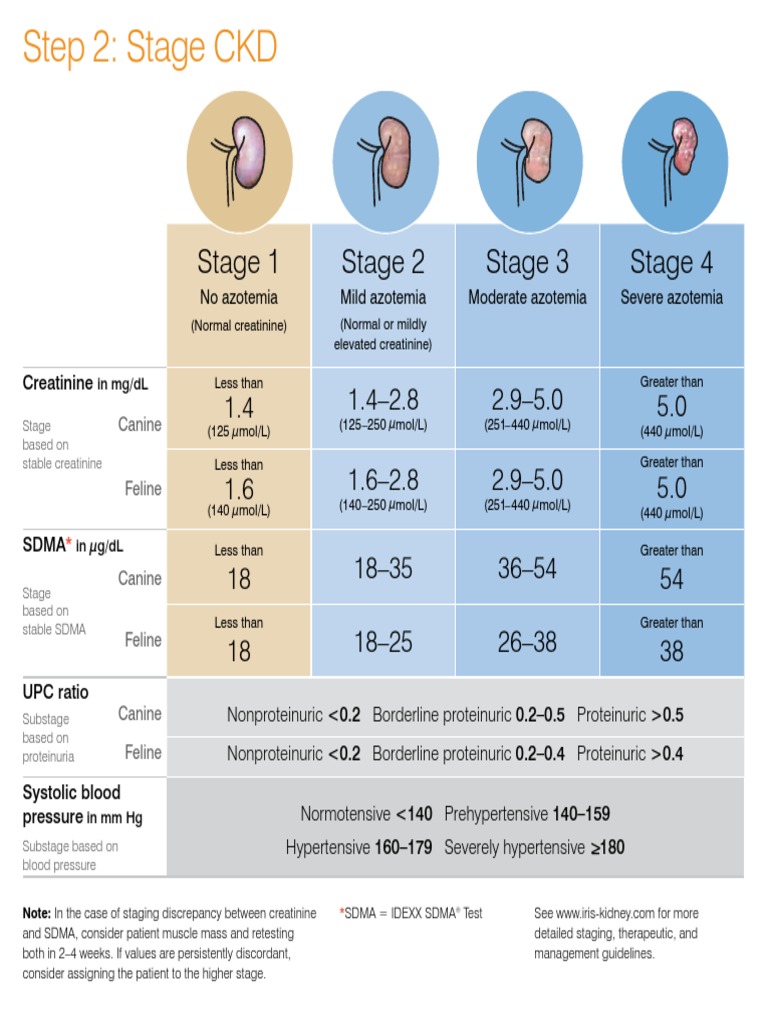 Stadializare IRIS | PDF | Creatinine | Body Fluids