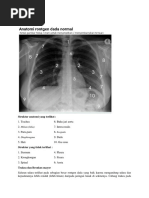 PDF Anatomi Thorax Normal Gambaran Radiologi Compress | PDF