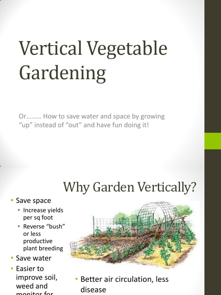 Vertical Vegetable Gardening | PDF | Pea | Bean