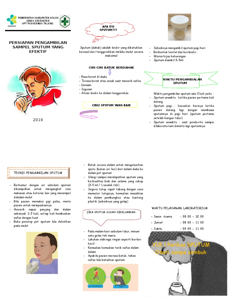 Leaflet Sputum 1 | PDF
