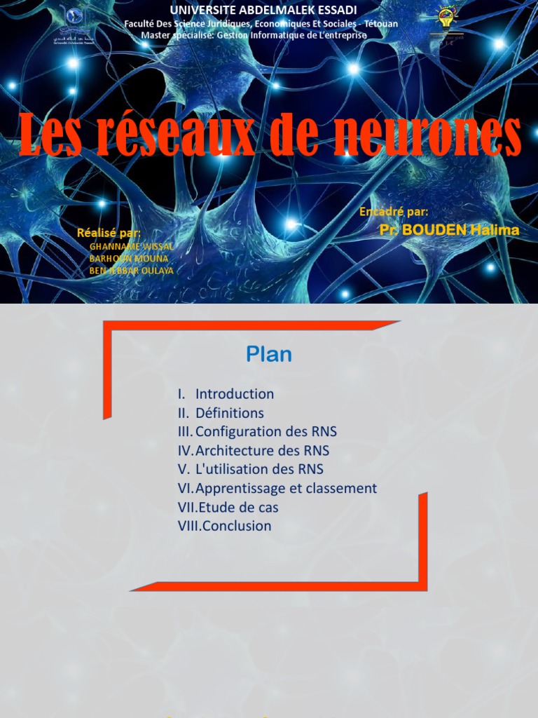 Les Reseaux de Neurones | PDF | Neurone | Réseau de neurones artificiels