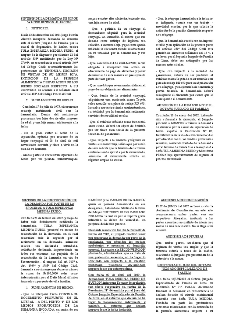 Sìntesis de La Demanda de Jorge Walter Butron Alarcon | PDF | Propiedad ...
