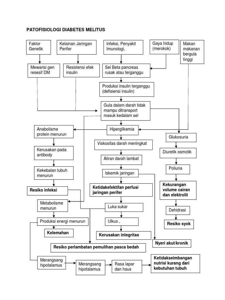 Patofisiologi Diabetes Melitus Pdf