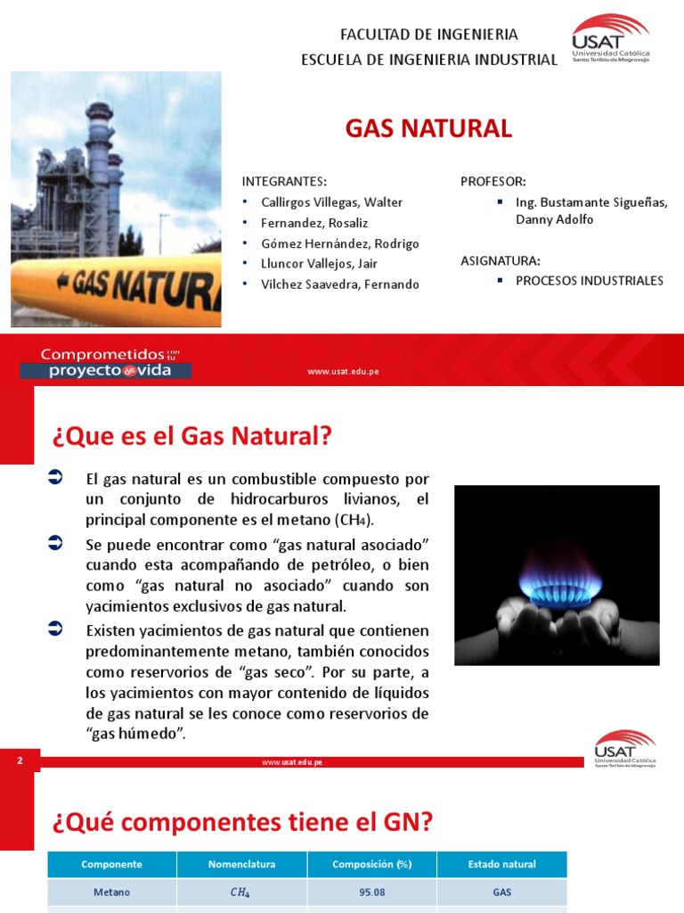 Características y Procesamiento del Gas Natural | PDF | Gas natural ...