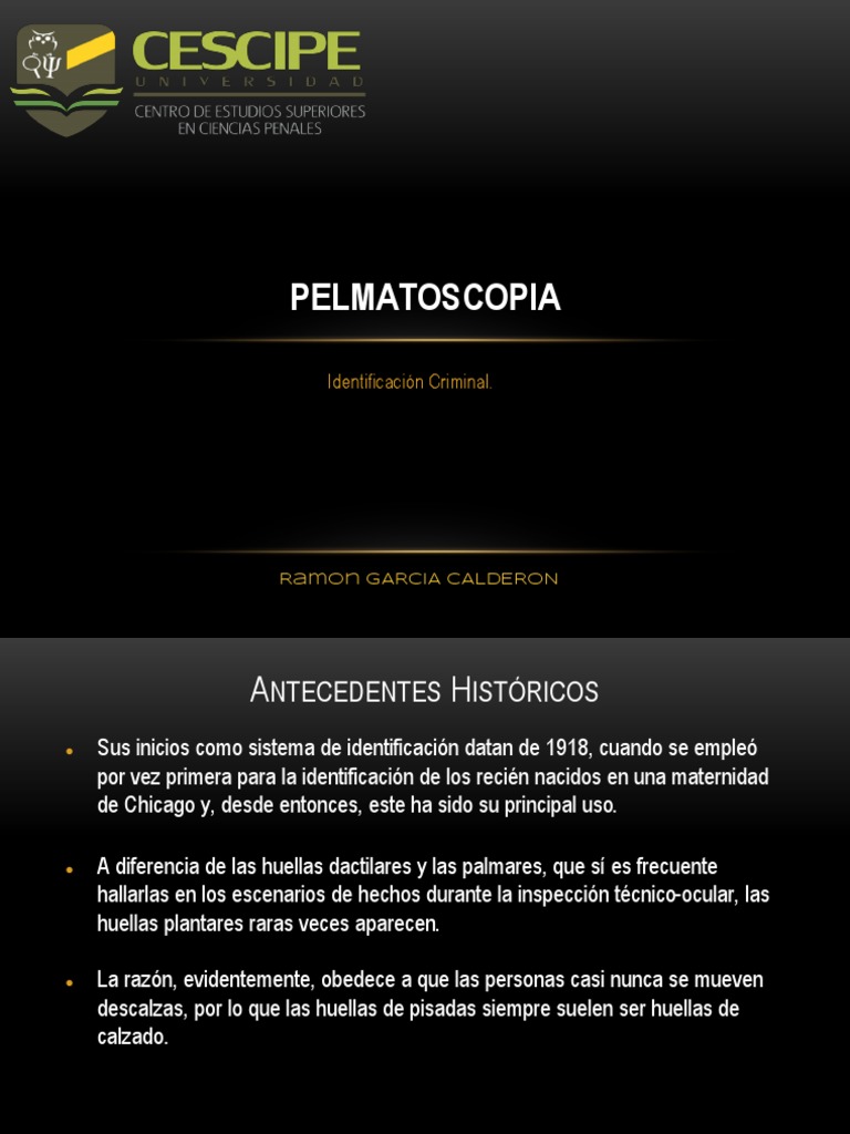 PELMATOSCOPIA, Rg. | PDF | Huella dactilar | Naturaleza