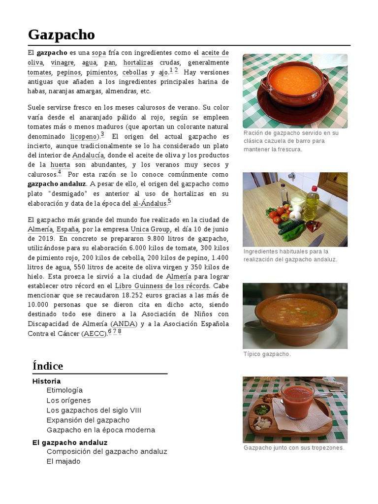 Gazpacho | PDF | Cocina española | Alimentos