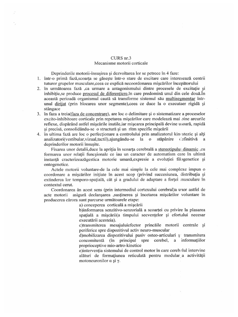 FIZIO | PDF