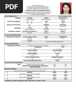 Formatos RT - 02 | PDF