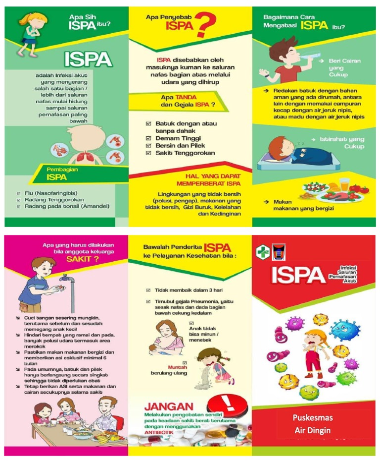 Leaflet Ispa | PDF