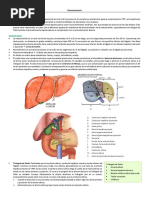 Anatomía Del Colédoco Pietrafita | PDF | Vesícula biliar ...