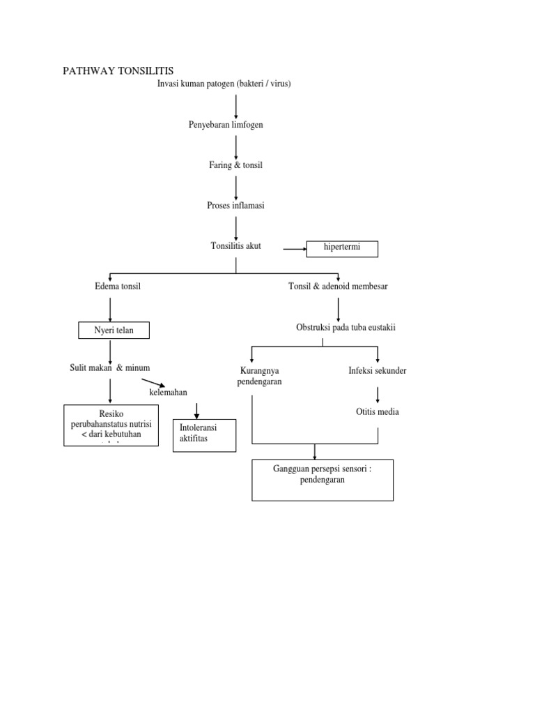 Pathway Tonsilitis | PDF