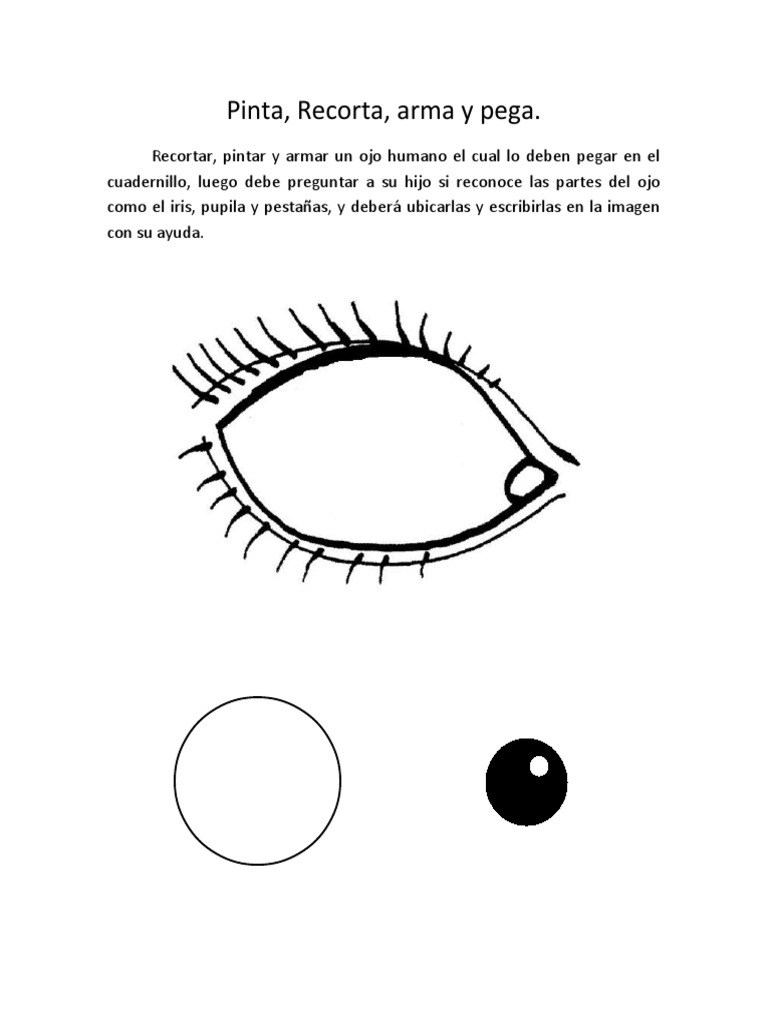 Ojo Recortable | PDF
