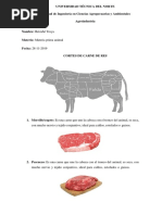 Partes y Cortes de la Res | PDF | Carne | Alimentos