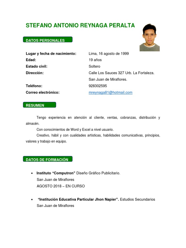 Currículum de Stefano Reynaga Peralta | PDF