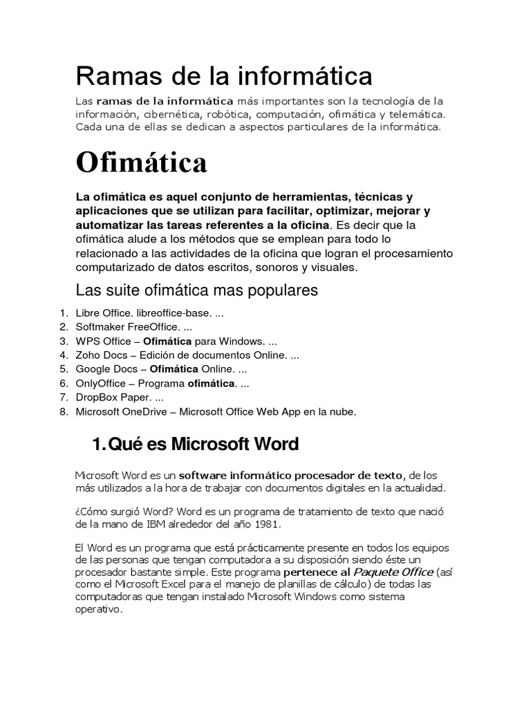 Ramas de La Informática | PDF | Microsoft Office | Software