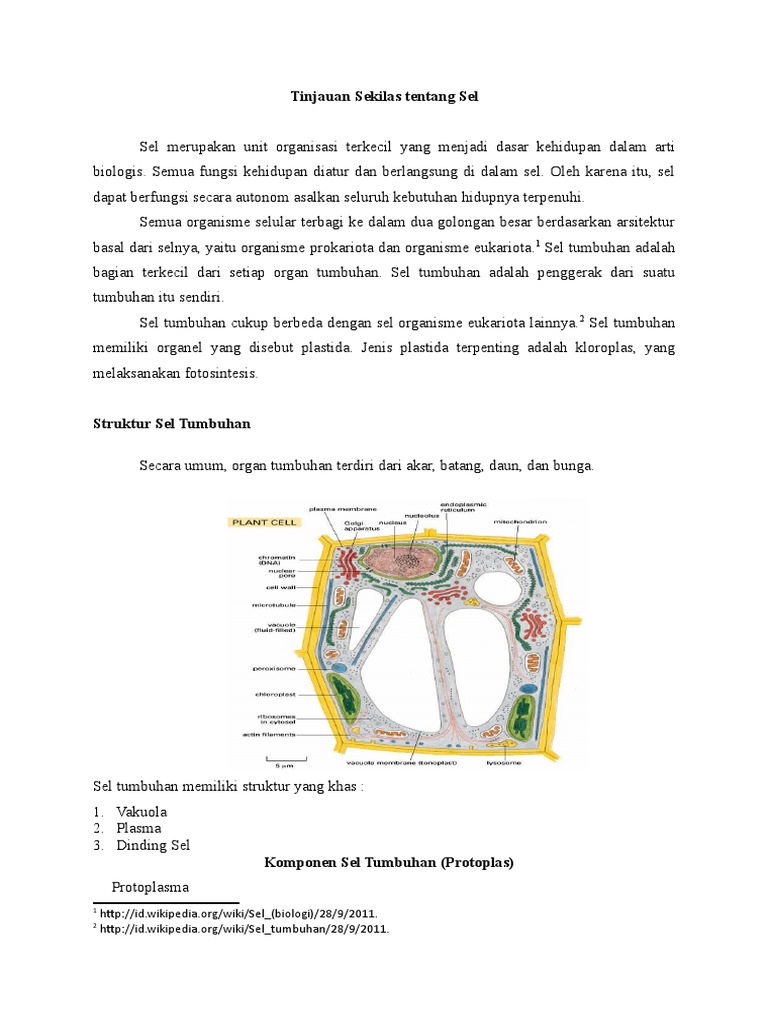 Makalah Sel Tumbuhan 1 | PDF
