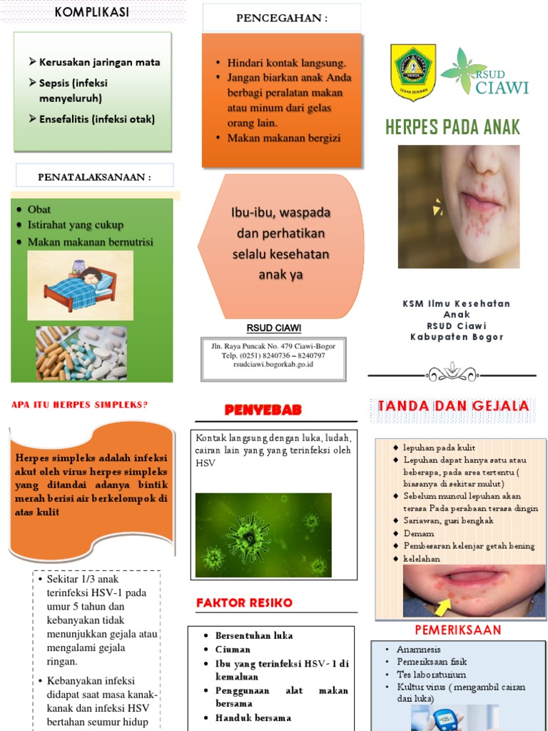 Leaflet Herpes | PDF