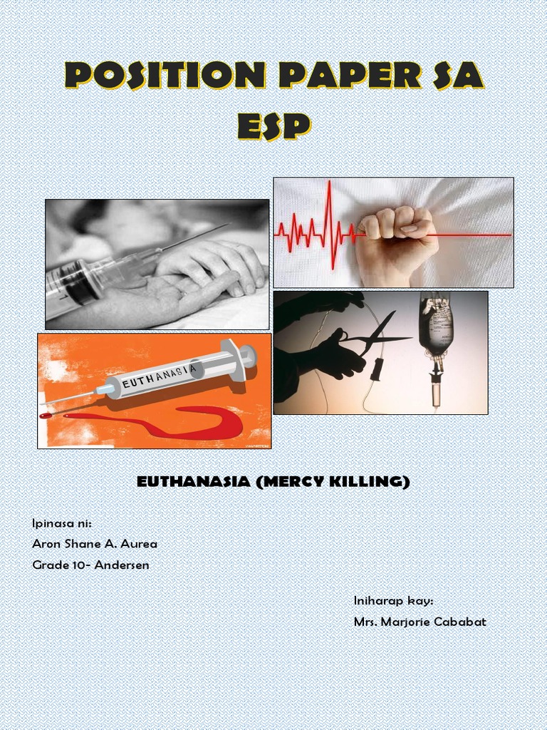 Position Paper Sa Esp | PDF