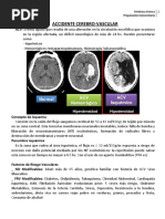 Facies Algicas | PDF | Anatomía humana | Especialidades Medicas