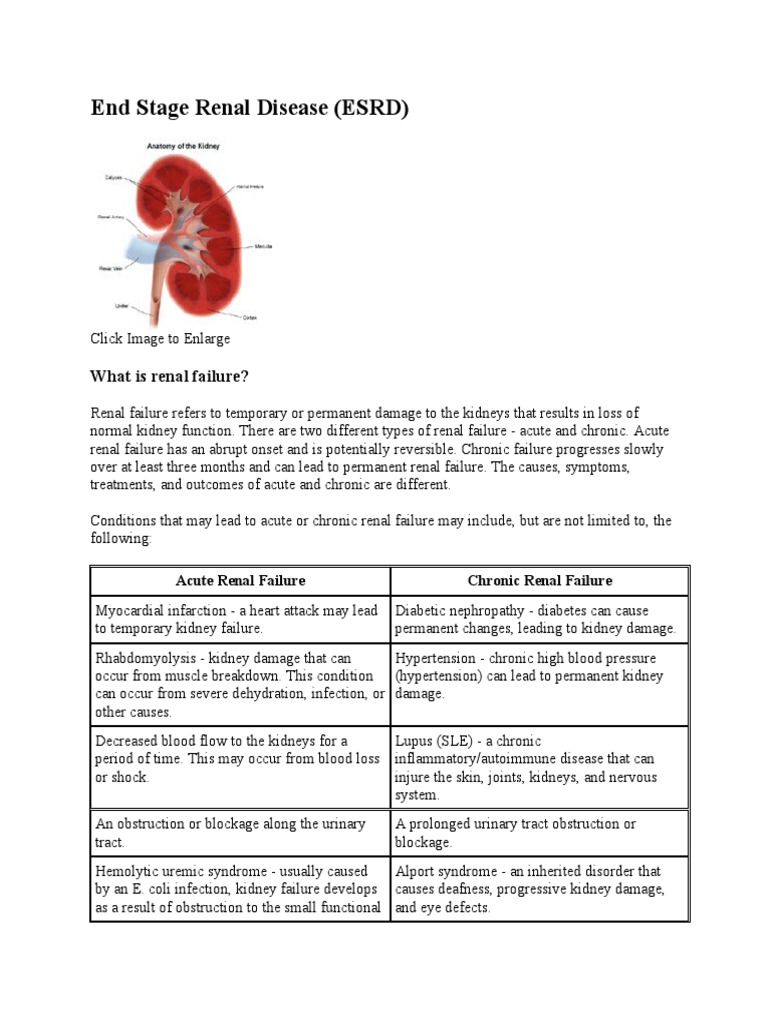 Understanding End Stage Renal Disease (ESRD) | PDF | Dialysis | Nephrology