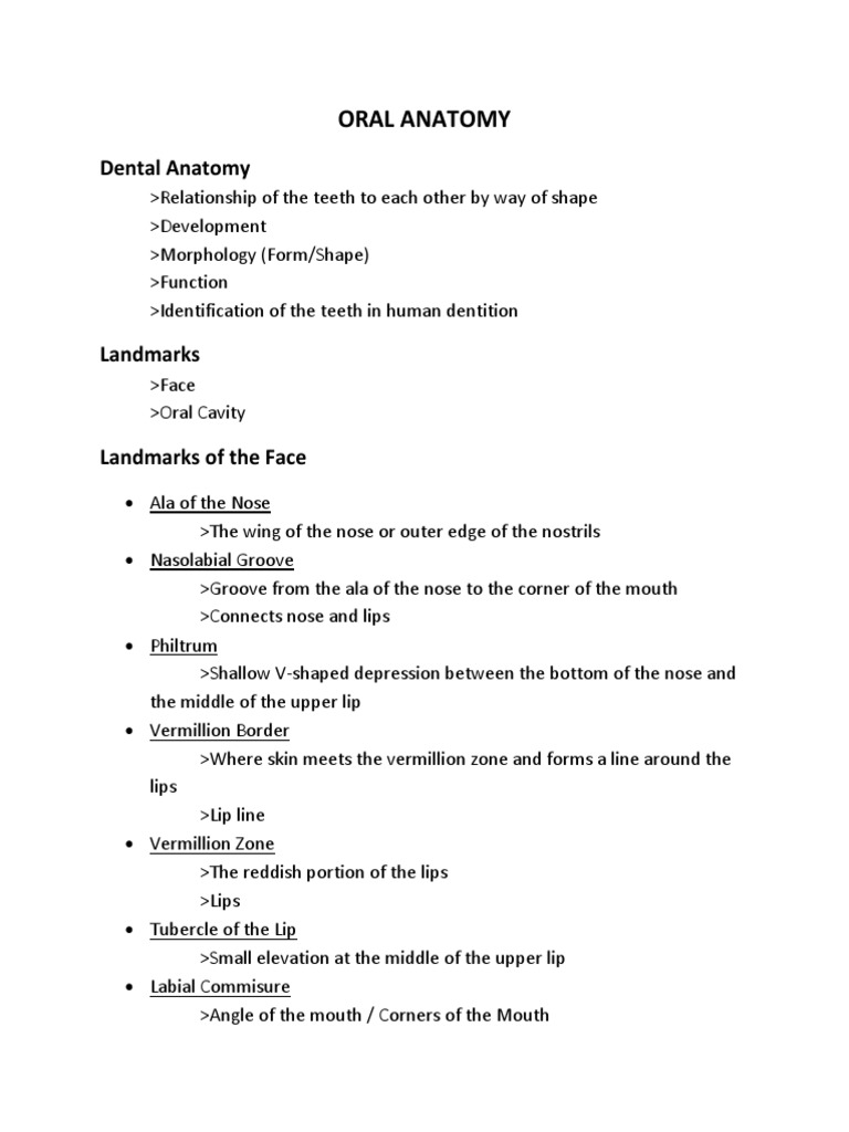Oral Anatomy | PDF | Human Tooth | Tongue