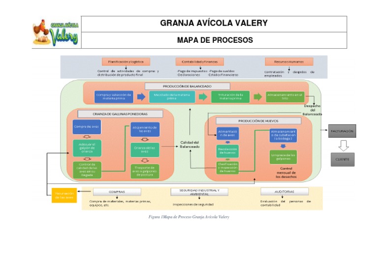 Mapa de Procesos Avícola Válery | PDF
