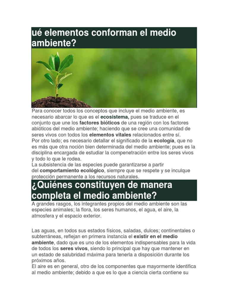 Los componentes del medio ambiente y la importancia de los seres vivos ...