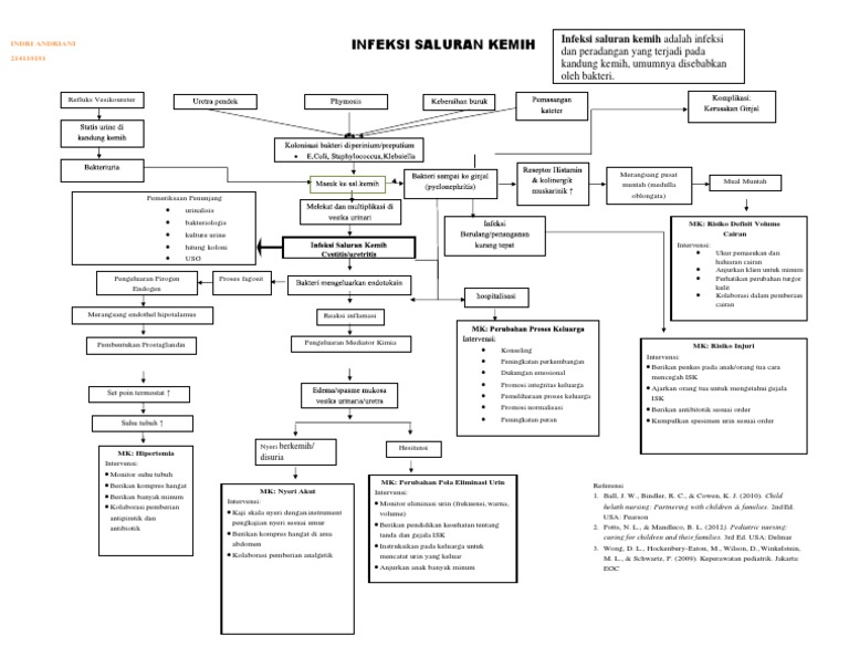Woc Infeksi Saluran Kemih Dikonversi | PDF