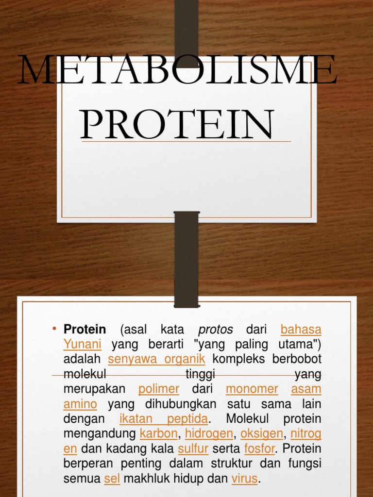 Metabolisme Protein | PDF