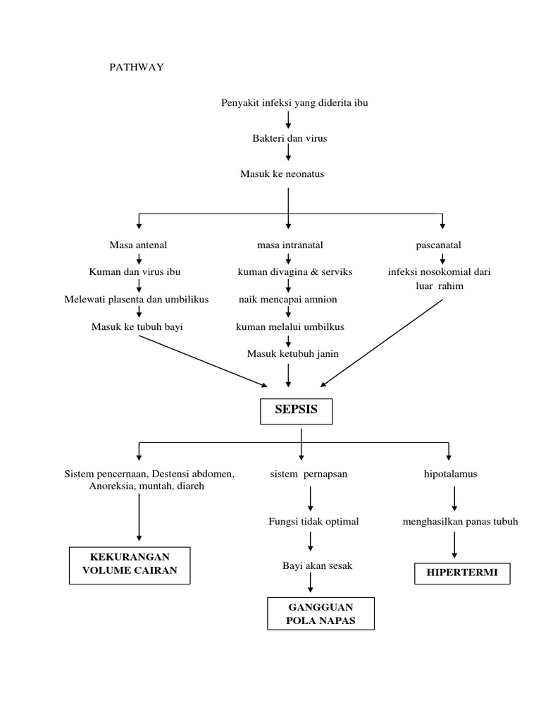 Pathway Sepsis | PDF