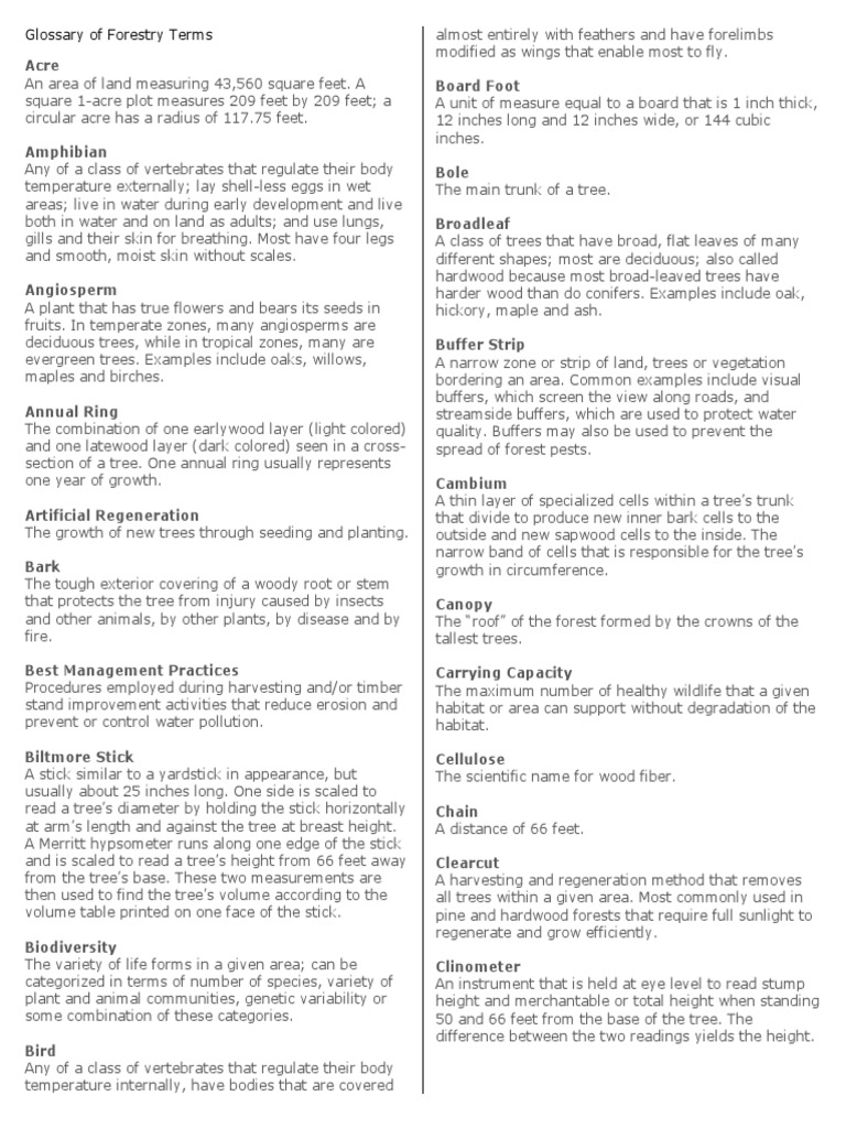 Glossary of Forestry Terms | PDF | Trees | Wood