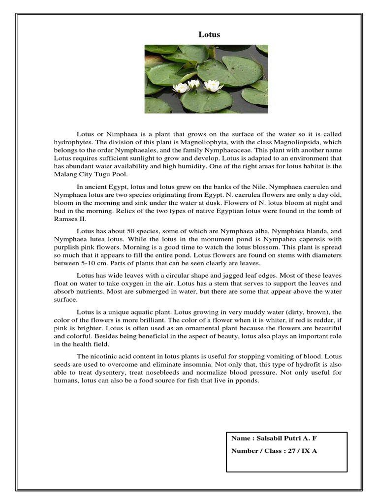 Lotus | PDF | Flowers | Plants