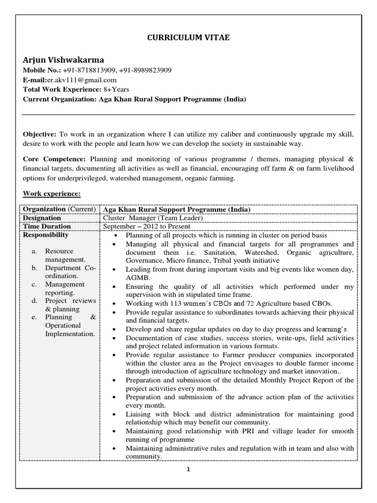 Arjun CV | PDF | Curriculum | Business