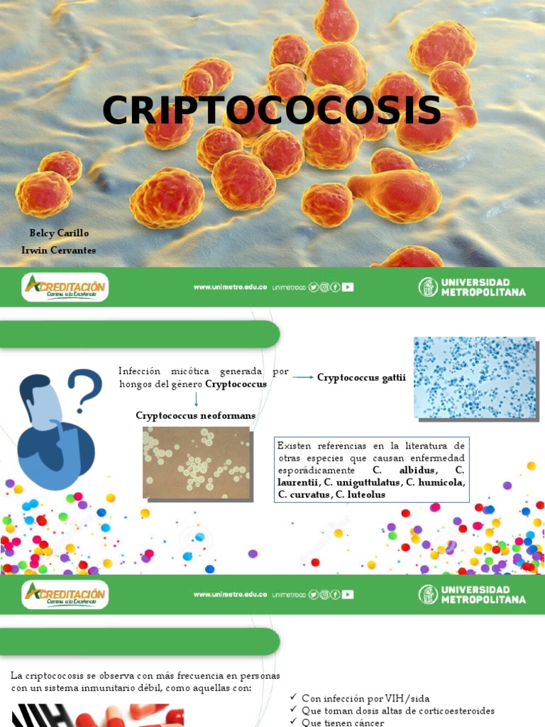 CRIPTOCOCOSIS | PDF | Epidemiología | Especialidades Medicas