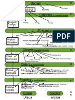 Taxonomic Hierarchy of Cow | PDF