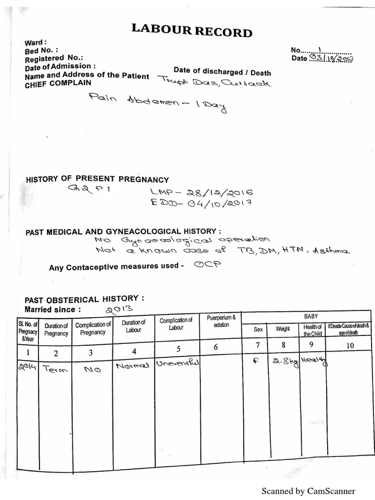 Labour Record | PDF