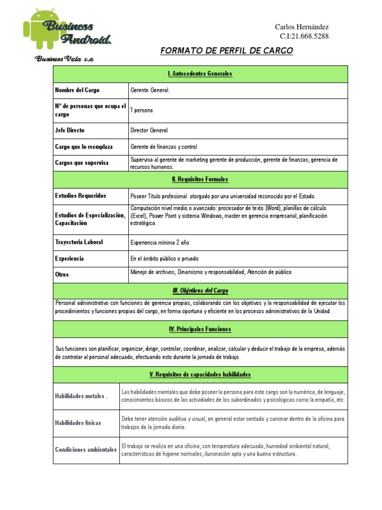 Formato de Perfil de Cargo | PDF | Gestión de recursos humanos | Economias