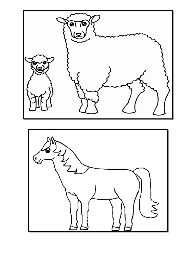 Animale Domestice Ferma Lui Moc899 Andrei de Colorat | PDF