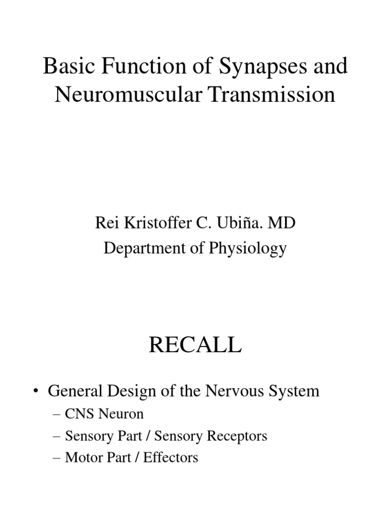 Basic Function of Synapses and Synaptic Transmission | PDF | Chemical ...