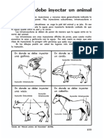Cómo Aplicar Inyecciones Al Ganado Bovino PDF | PDF | Inyección ...