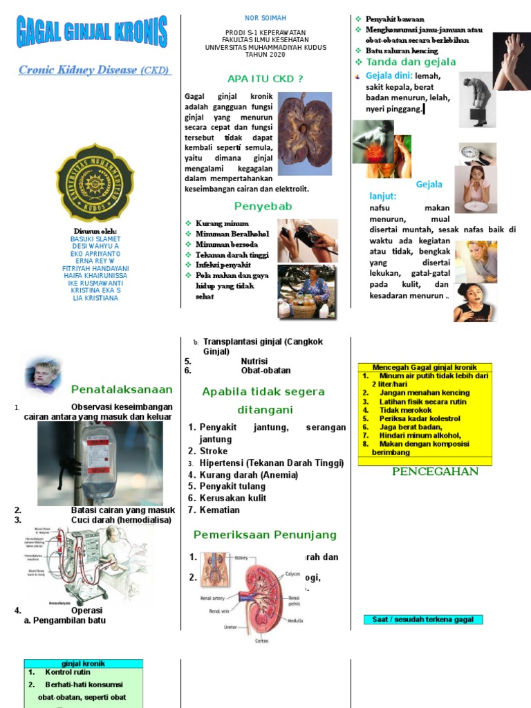 Leaflet CKD | PDF