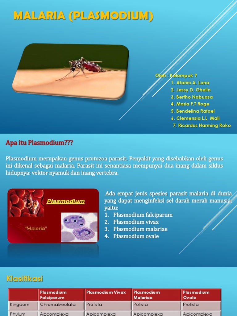 Plasmodium: Penyebab dan Pencegahan Malaria | PDF | Sains & Matematika