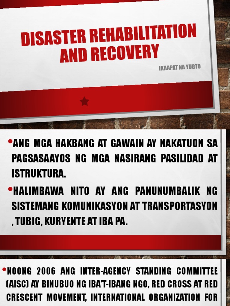 Disaster Rehabilitation and Recovery | PDF