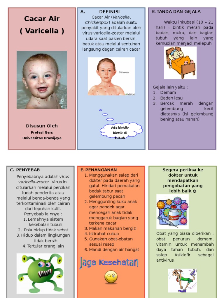 Leaflet Cacar Air | PDF