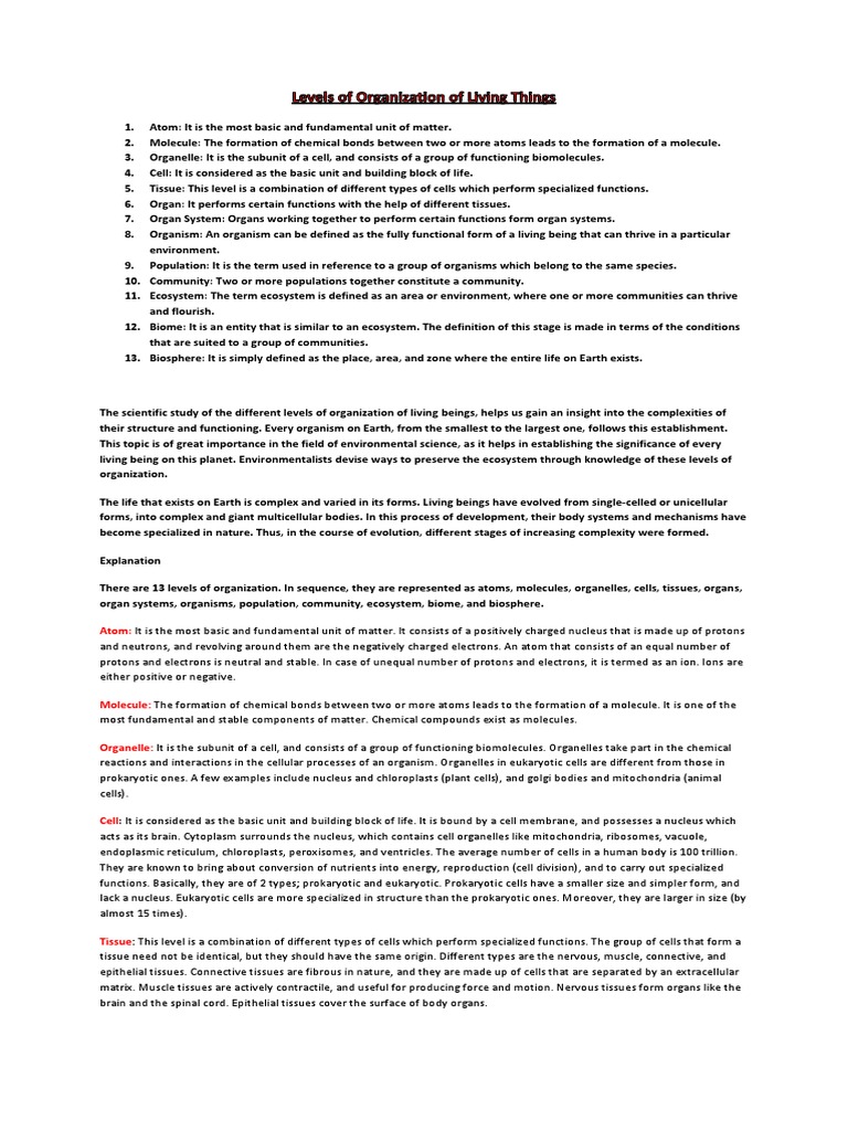 Levels of Organization of Living Things | PDF | Cell (Biology) | Tissue ...