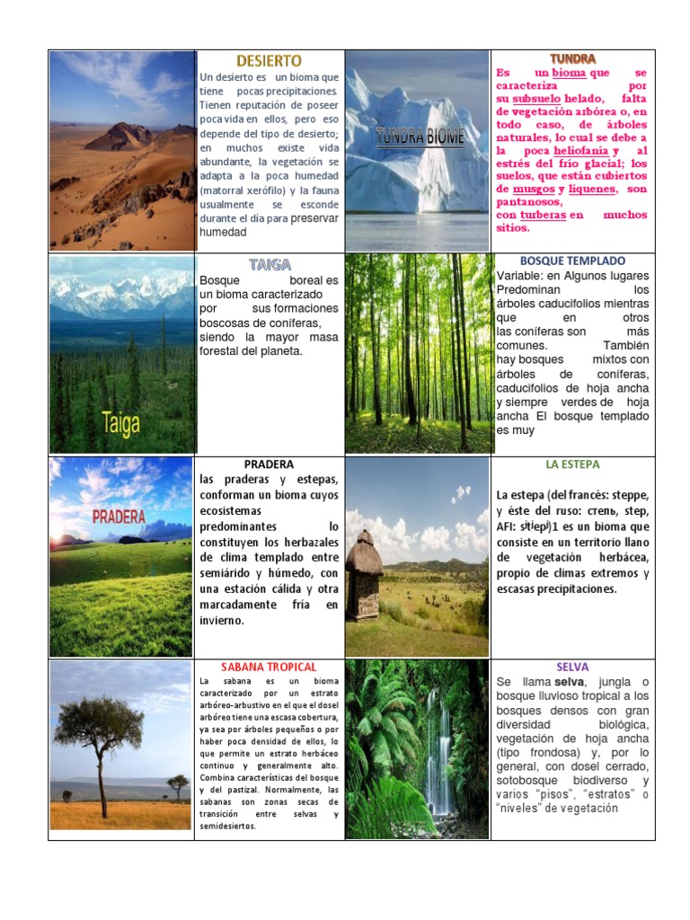 BIOMAS | PDF | Selva | Sabana